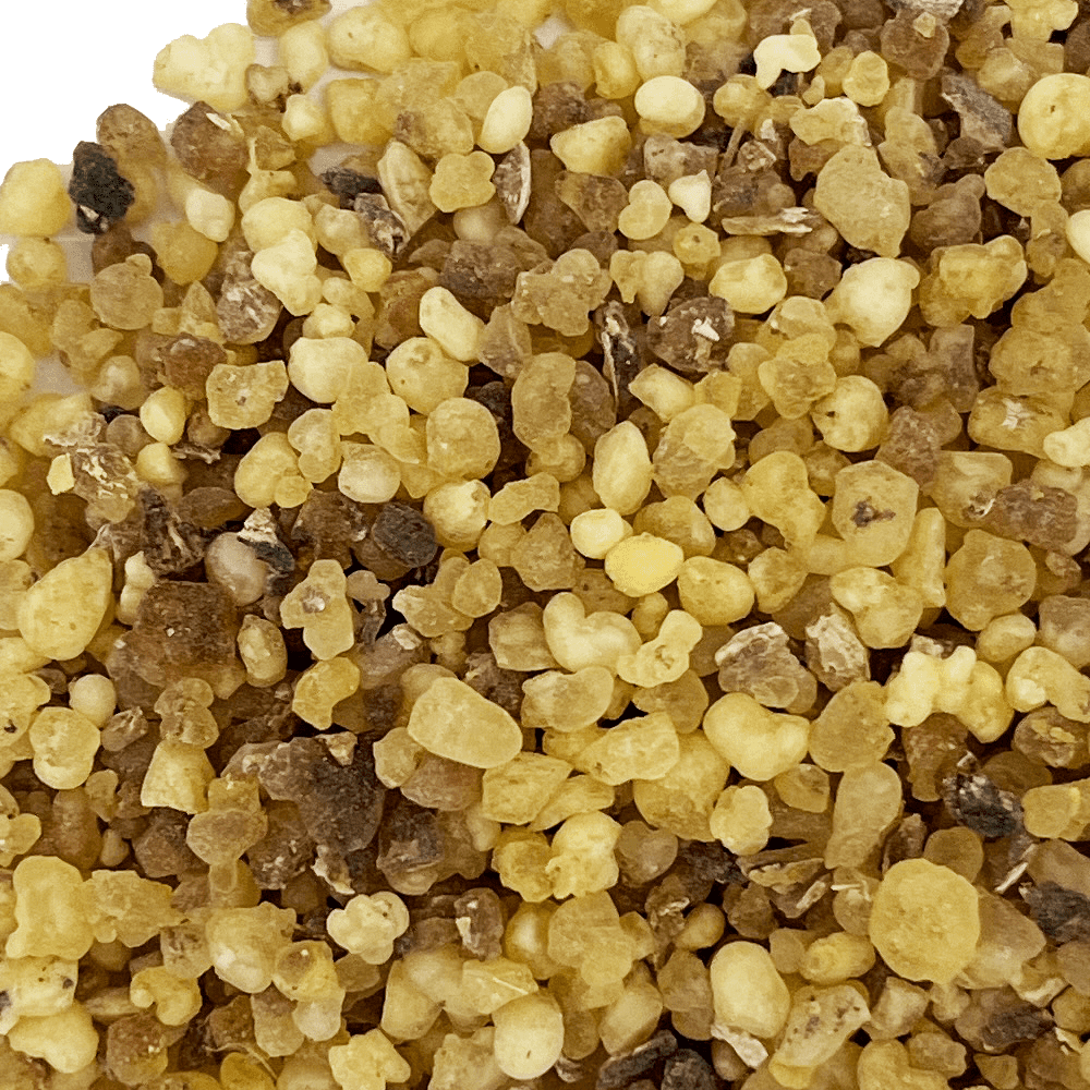 Incenso Resina Olíbano Frankincense Sudan Importado Padrão 100 gramas ...