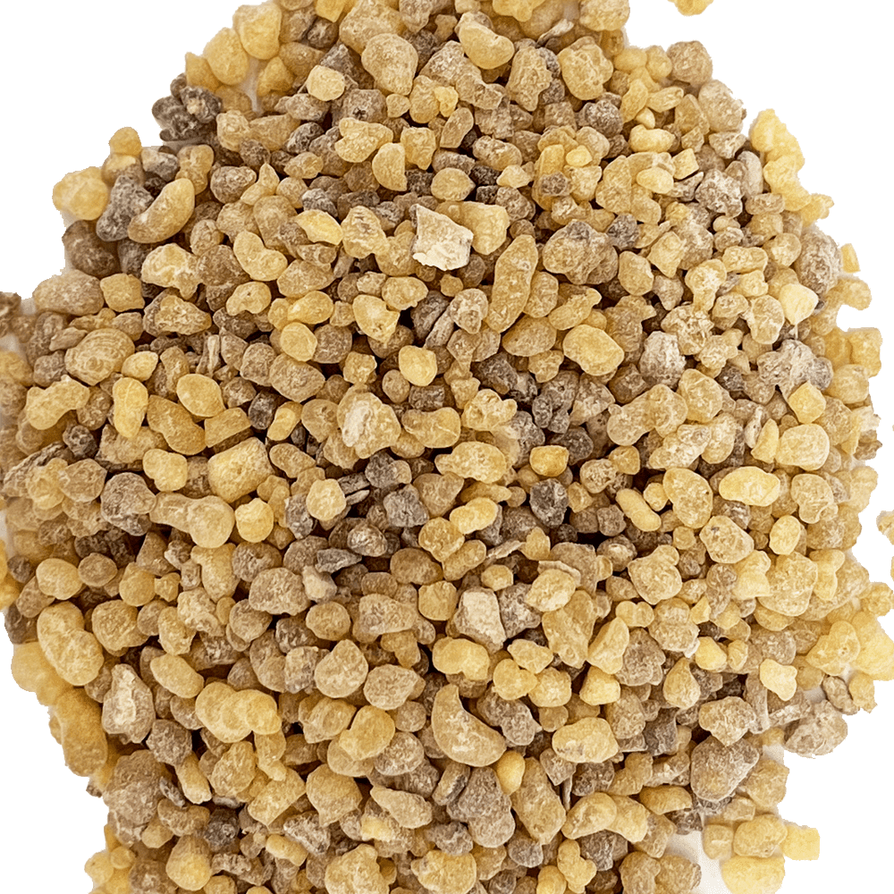 Incenso Litúrgico de Igreja Olíbano Frankincense Lacryma Christi ...